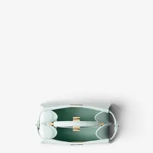 Fendi Peekaboo Iseeu Petite Bag