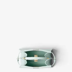 Fendi Peekaboo Iseeu Petite Bag