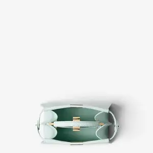 Fendi Peekaboo Iseeu Petite Bag