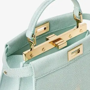 Fendi Peekaboo Iseeu Petite Bag