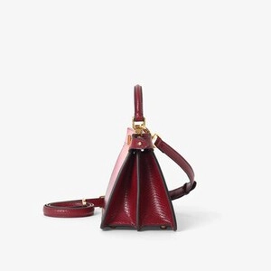 Fendi Peekaboo Iseeu Petite Karung Snake Bag