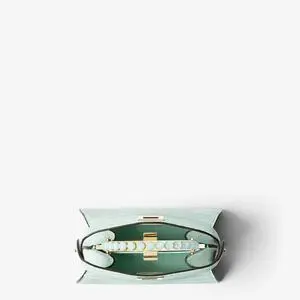 Fendi Peekaboo Iseeu Petite Bag