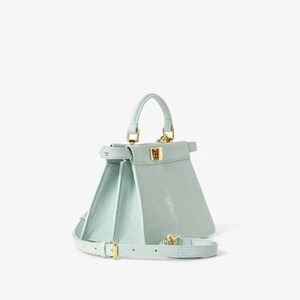 Fendi Peekaboo Iseeu Petite Bag