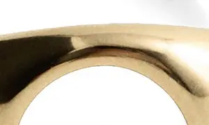 Mango Cutout Signet Ring