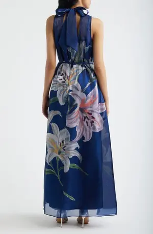 Julia Jordan Printed Organza Tie Neck Maxi Dress