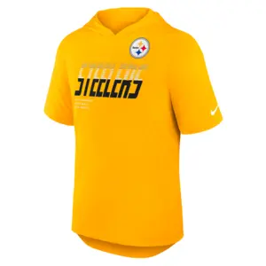 Nike Pittsburgh Steelers Dri-fit Nfl Hooded T-shirt - Brown