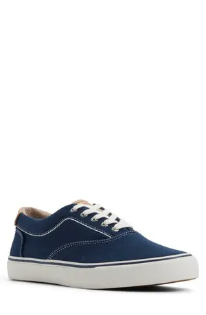 Sperry Cvo Helm Low Top Sneaker - Navy