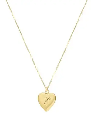 SET & STONES Set & Stones Heart Locket Initial Necklace Gold/e