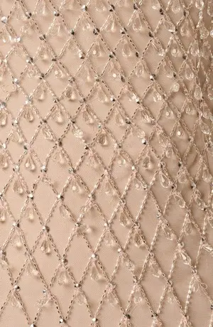 Adrianna Papell Beaded Mesh Evening Gown