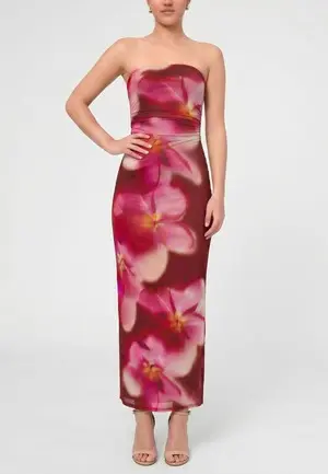 Rachel Rachel Roy Isola Strapless Mesh Maxi Dress - Dark Red