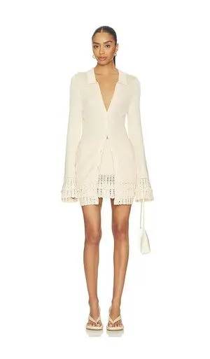 Devon Windsor Wendy Tunic