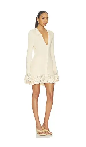 Devon Windsor Wendy Tunic