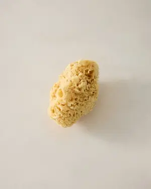 BAUDELAIRE Large Sea Bath Sponge - Multicolor