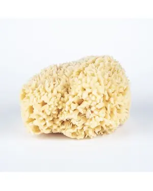 BAUDELAIRE Large Sea Bath Sponge