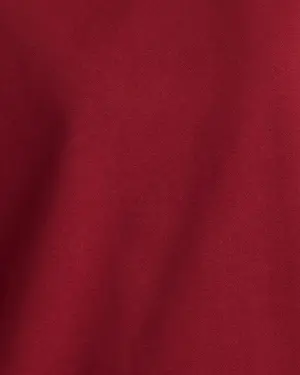 HAVEN WELL WITHIN Balance Cloud Fleece Crewneck Sweatshirt - Syrah
