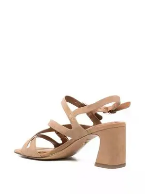 TAMARIS Buckle-fastening Multi-strap Sandals