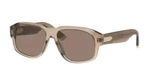 Dior Sunglasses - Brown