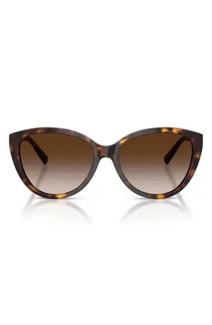 Tiffany & Co. Cat Eye Sunglasses - Havana/brown Gradient