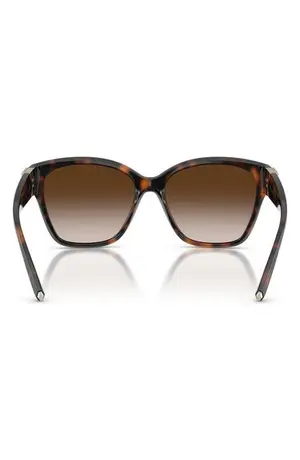 Tiffany & Co. Square Frame Sunglasses - Havana/brown Gradient
