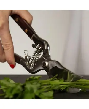 VERVE CULTURE Thai Kitchen & Garden Shears