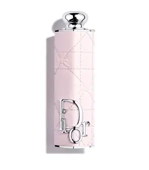 Dior Addict Lipstick Case