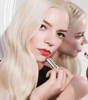 Dior Addict Lipstick Case