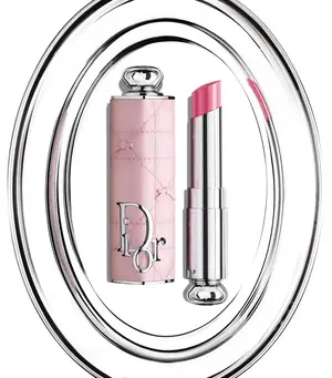 Dior Addict Lipstick Case