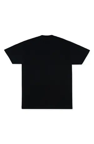 PAPER PLANES Planes East River Cotton Graphic T-shirt