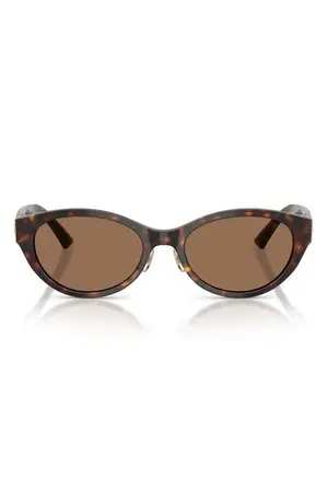 JIMMY CHOO Jimmy Choo Oval Sunglasses Havana/dark Brown