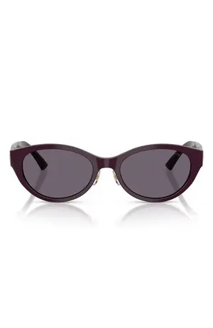 JIMMY CHOO Jimmy Choo Oval Sunglasses Prune/violet