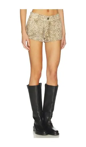Lioness Gisele Short