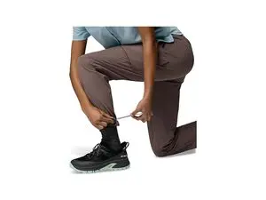 Columbia Silver Ridge Elite Pants - Brown