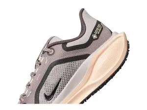 Nike Pegasus 41 Gore-tex Running Shoes - Gray