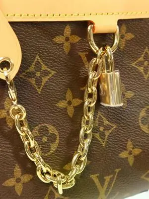 LOUIS VUITTON Monogram Evermore Pm Tote Bag