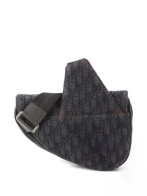 Dior Saddle Canvas Bag