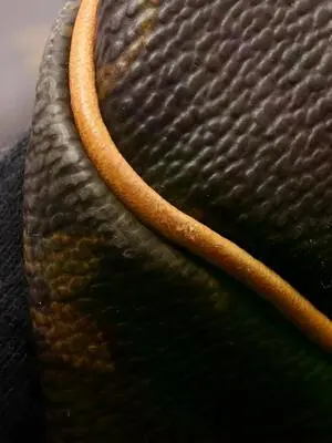 LOUIS VUITTON Monogram Keepall 60 Travel Bag - Brown