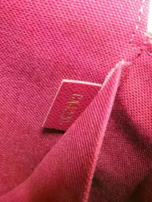 LOUIS VUITTON Pochette Félicie Crossbody Bag