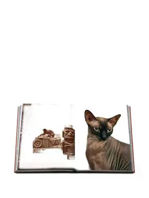 Assouline Chic Cats Book