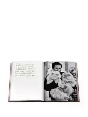 Assouline Chic Cats Book - Orange