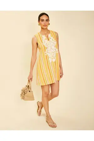 Mestiza New York Belize Embroidered Caftan Mini Dress