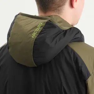 Arc'teryx Atom Hooded Jacket - Spotlight