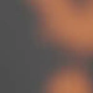 Burberry Acetate Square Sunglasses - Brown