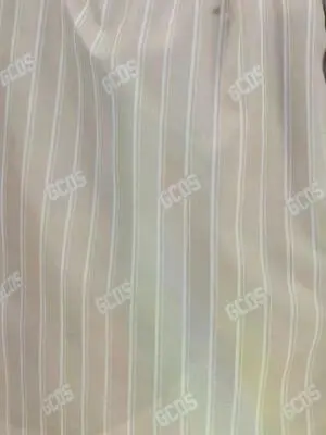 Gcds Pinstripe Logo Swim Shorts - Neutrals