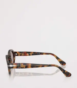 Persol Acetate Loris Oval Sunglasses