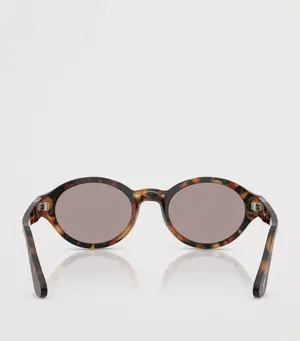 Persol Acetate Loris Oval Sunglasses