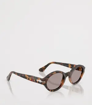 Persol Acetate Loris Oval Sunglasses