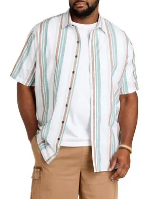 True Nation By Dxl Collared