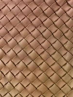 Bottega Veneta Hobo Bag