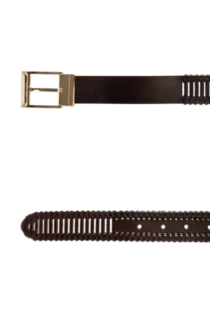 FERRAGAMO Leather Belt With Gold Buckle - Brown