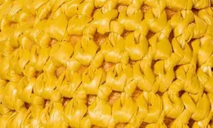 Kate Spade New York Woven Lemon Charm